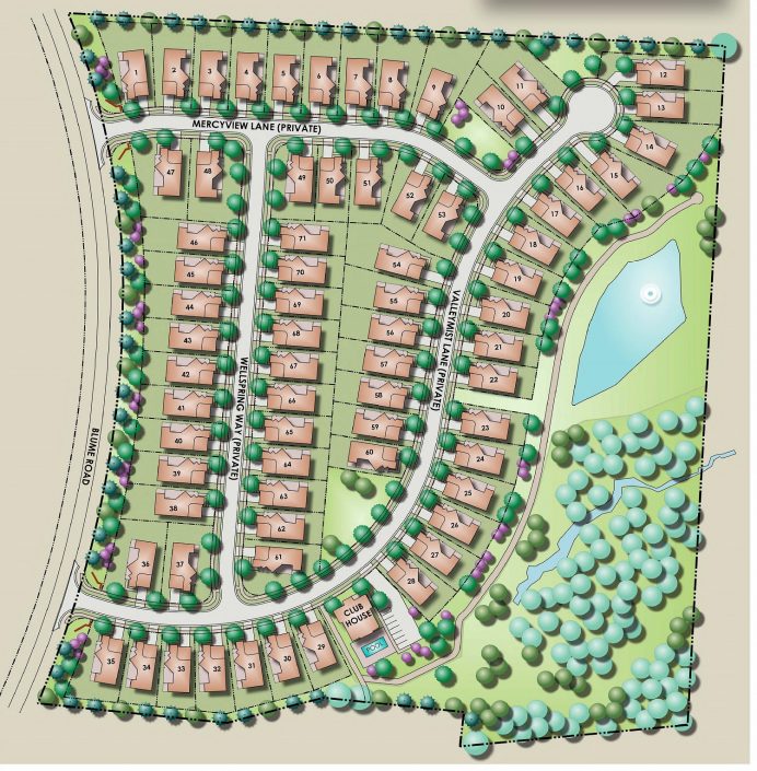 The Courtyards at Blume Point Homes for Sale in Mooresville, NC - 55 ...
